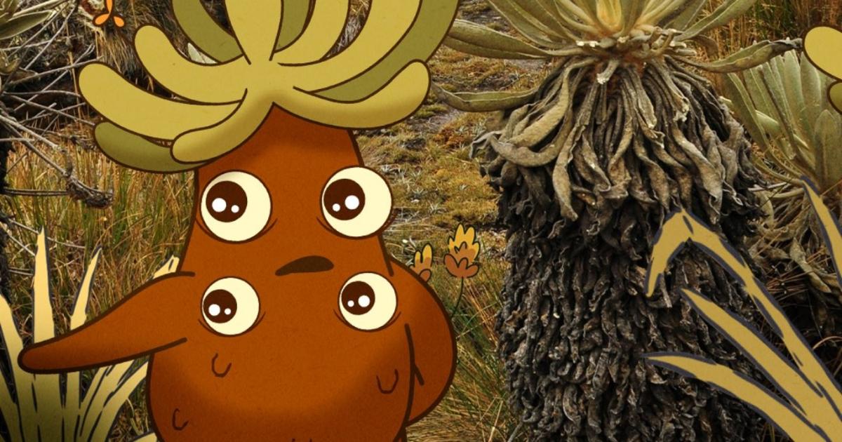 Caracol Radio se retracta por desinformación sobre Frailejón Ernesto ...